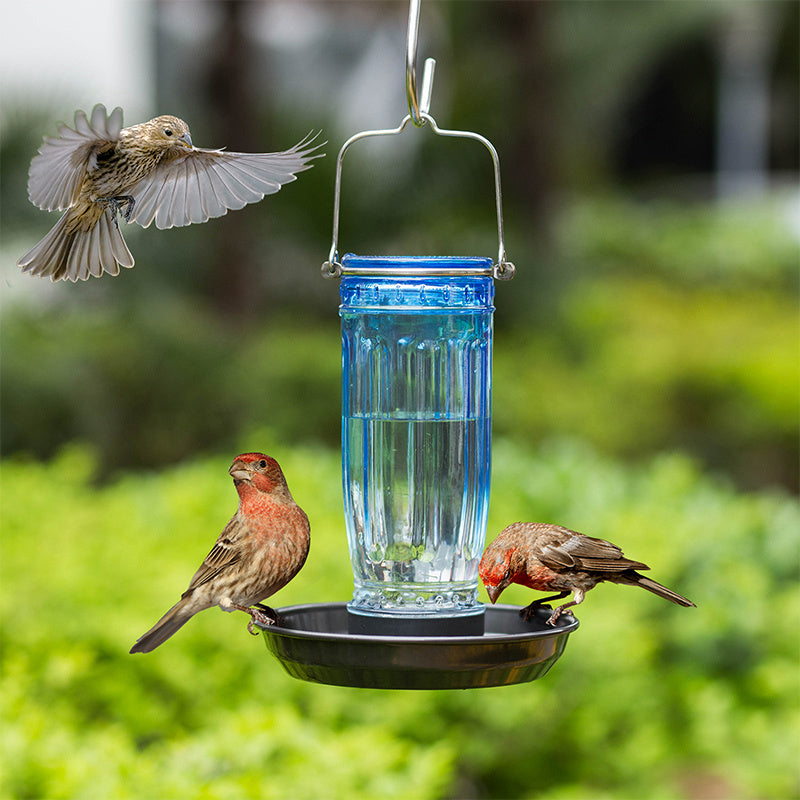 Metal Base Glass Waterer Bird Feeder – Garden Lovers Club