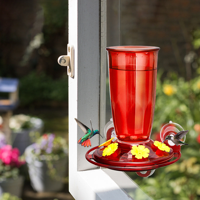 Window Hummingbird Feeder with 4 Feeding Ports – Garden Lovers Club