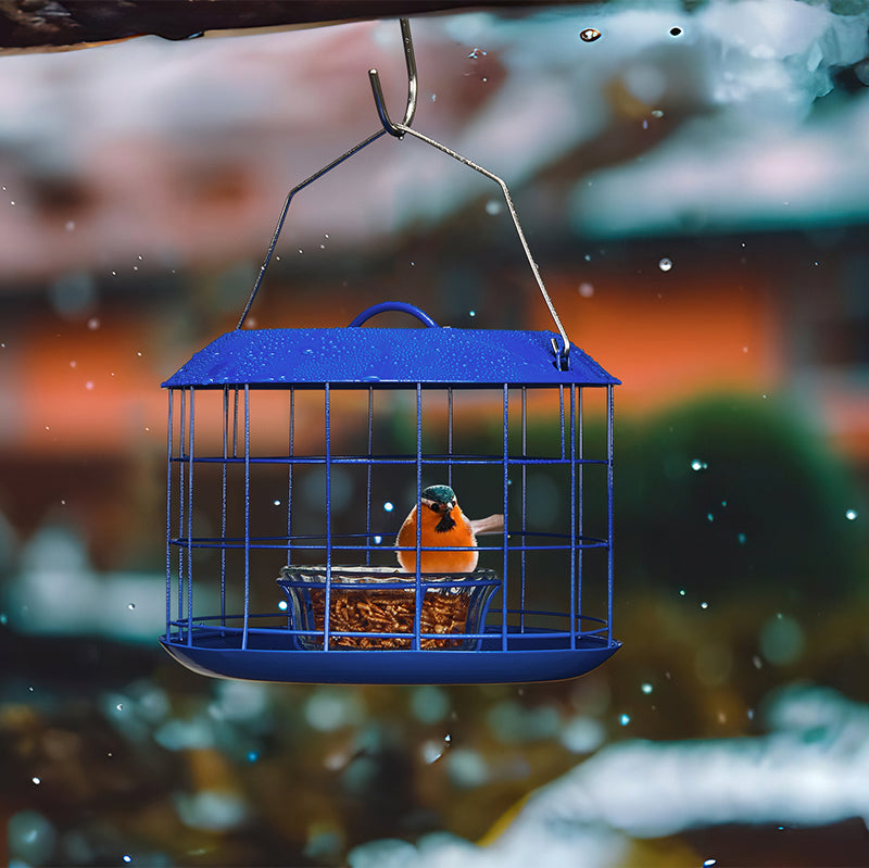 Bluebird Squirrel-Proof Feeder – Garden Lovers Club