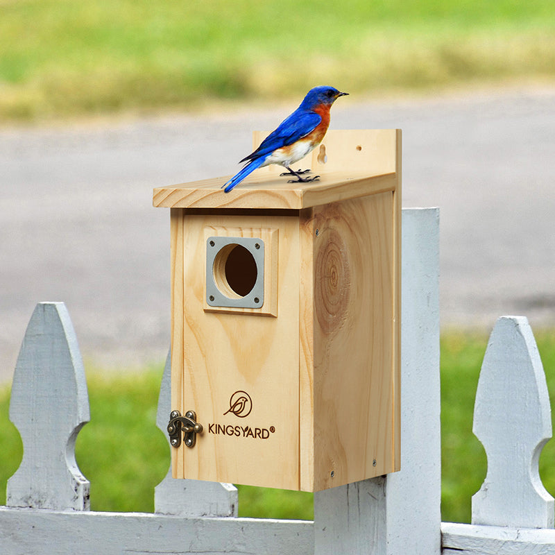 Wooden Bluebird House with Predator Guard – Garden Lovers Club